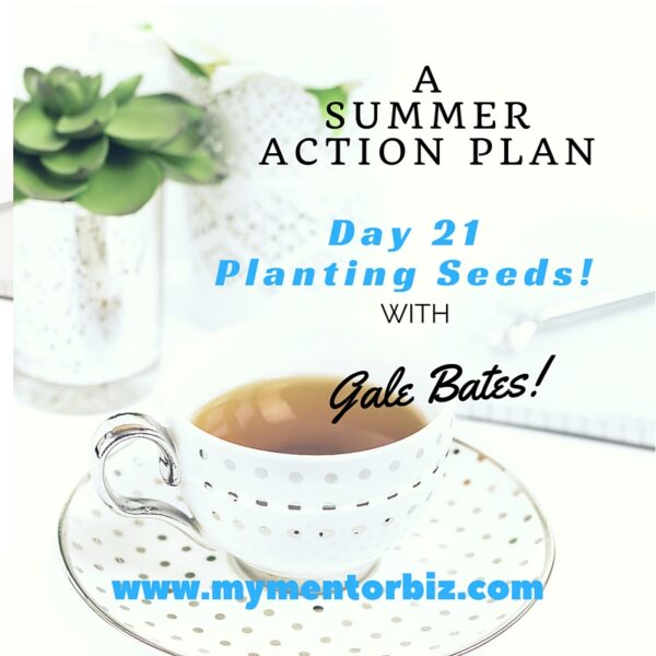 Day 21 Summer Action Plan – Planting Summer Seeds - My Mentor Biz
